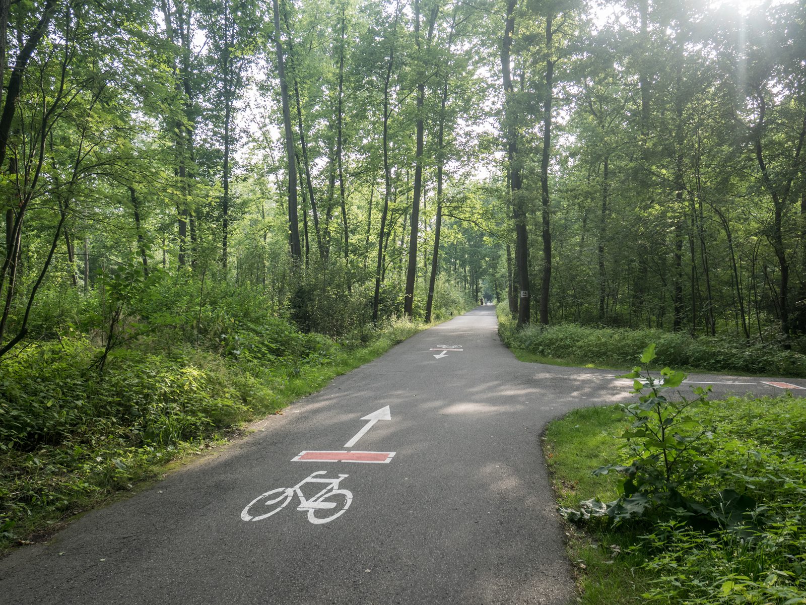 Koleją i rowerem - Na rower