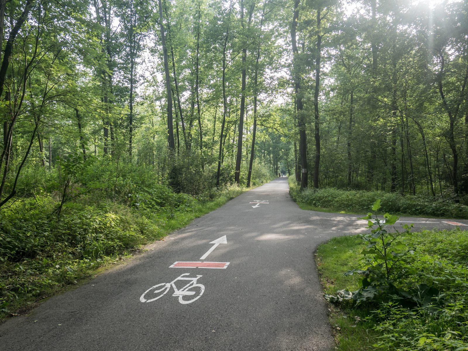 Rowerem przez Lasy Murckowskie (Koleją i Rowerem) - Na ro...